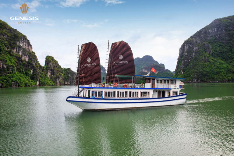 Family-Friendly Halong Bay Day Cruises: Safe, Fun & Affordable Picks ...