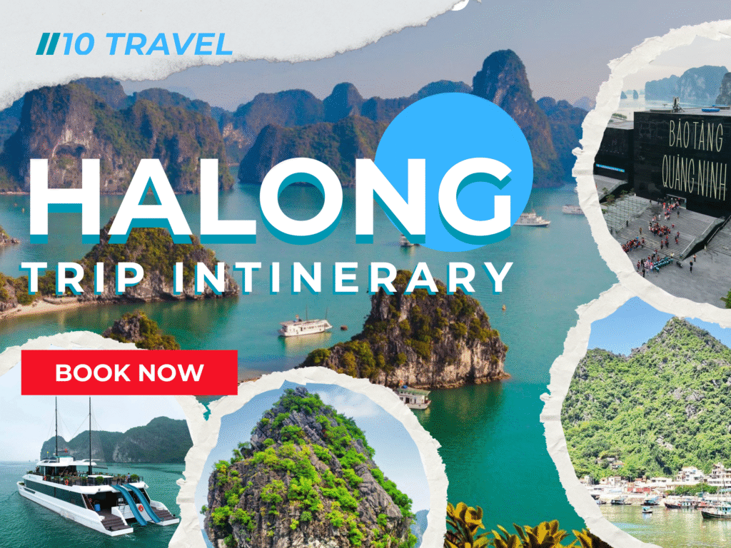Halong Bay Day Cruise: Ultimate 2025 Guide to Prices, Itinerary & Tips ...